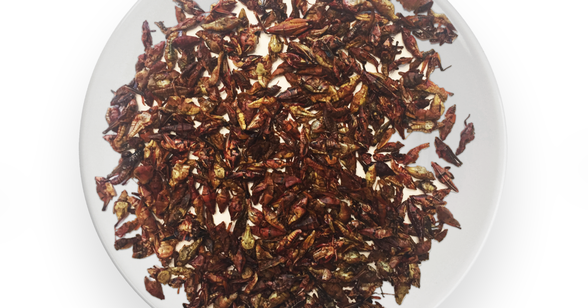 Chapulines by the Pound – Wholesale Edible Insects